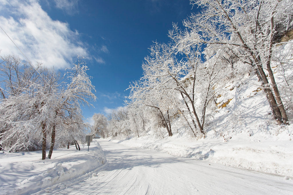 Cold Weather and Your Dogs – Keeper Collars