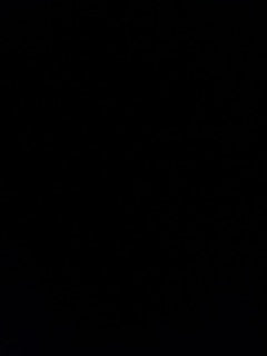 Dog Collars – Keeper Collars