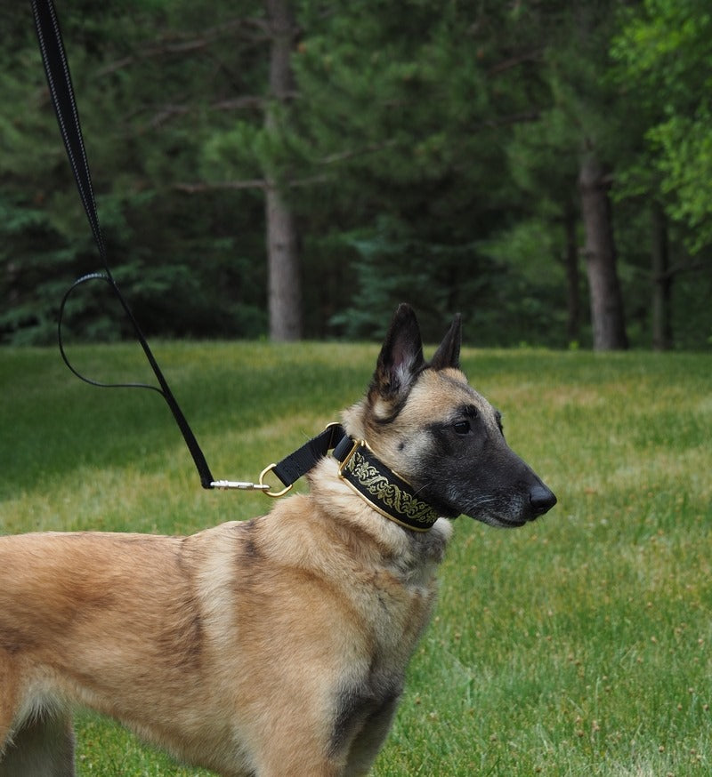 Gallery – Keeper Collars