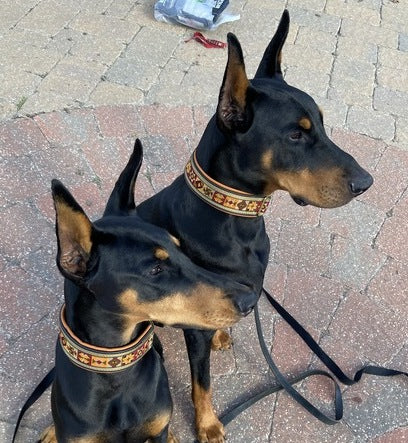 Gallery – Keeper Collars