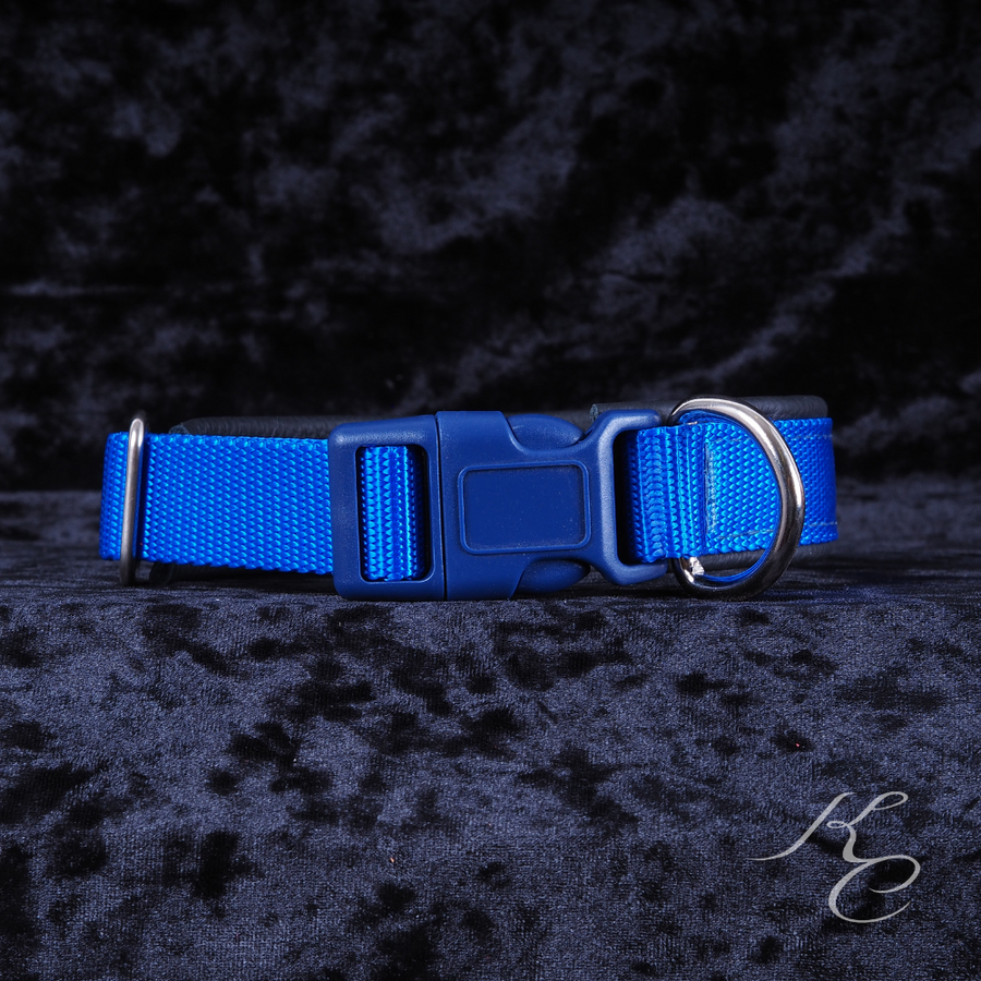 How to choose your collar – Keeper Collars